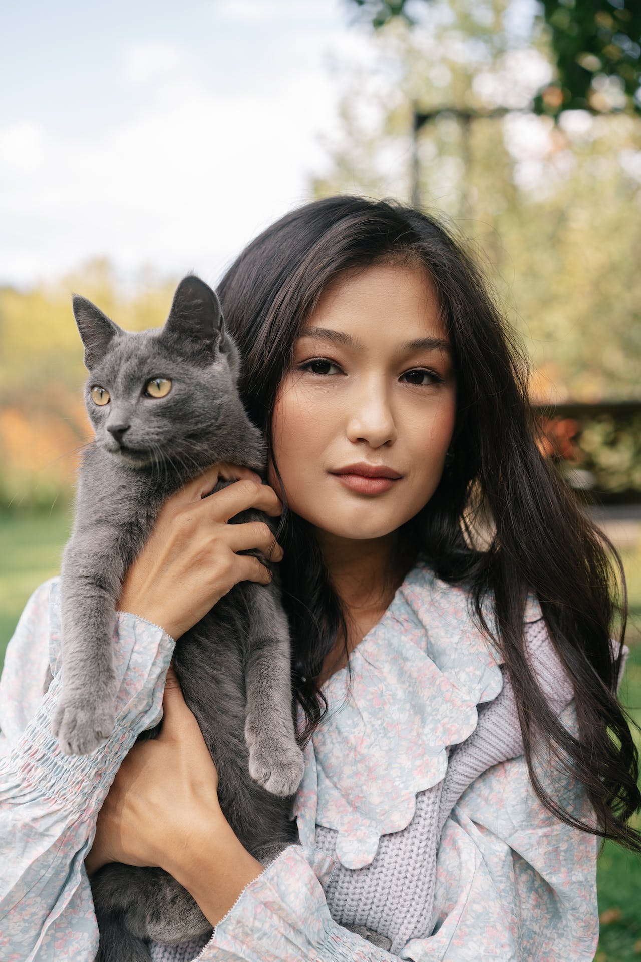 The Surprising Health Benefits of Being a Cat Owner – Petrova Designs